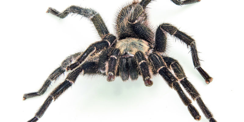 Vitengarden - Vitensenteret midt i matfatet.