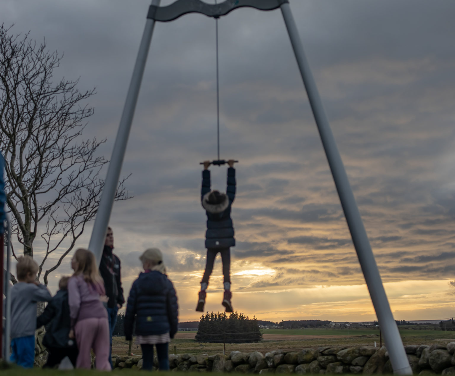 Open all summer! - Vitengarden